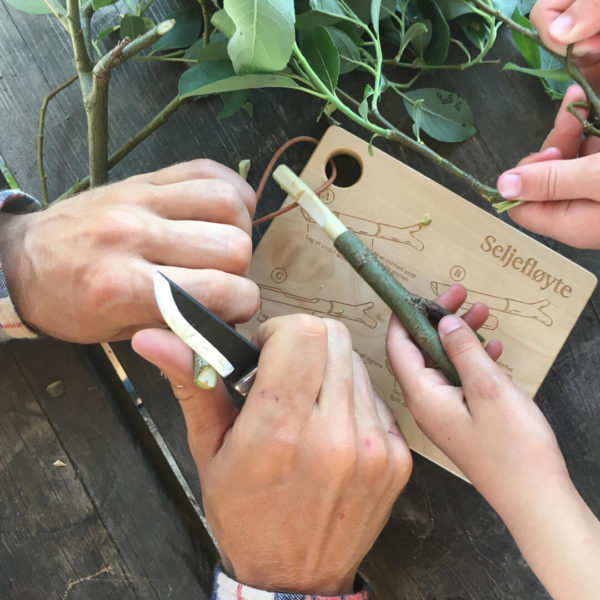 Skogsbingo - Velg Norsk