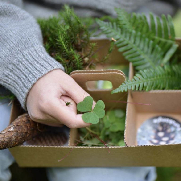 Skogsbingo - Velg Norsk